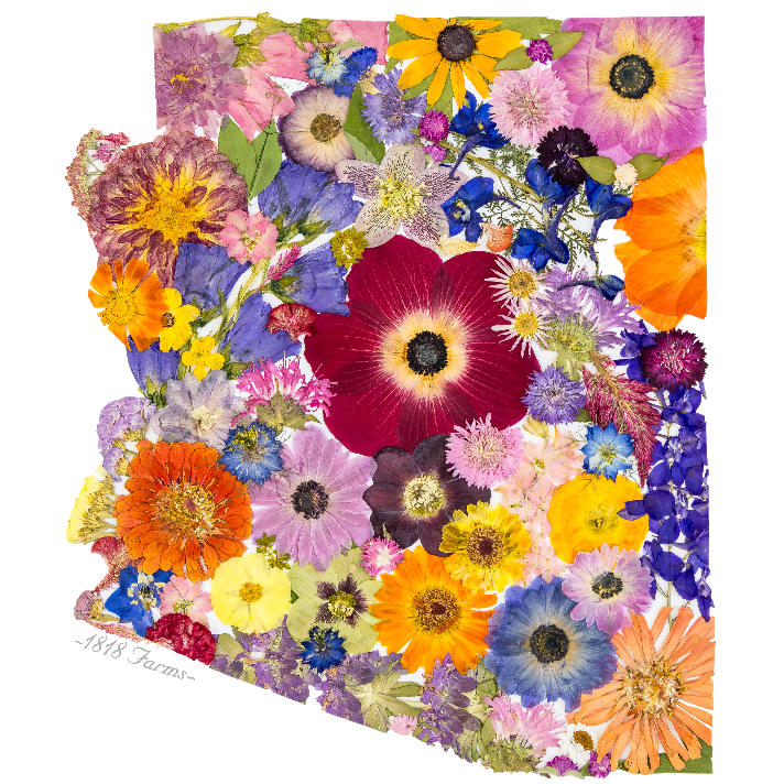 Arizona Themed Products From The "Where I Bloom" Collection – 1818 Farms