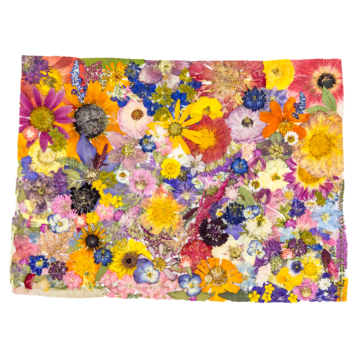 Colorado Themed Products From The "Where I Bloom" Collection – 1818 Farms