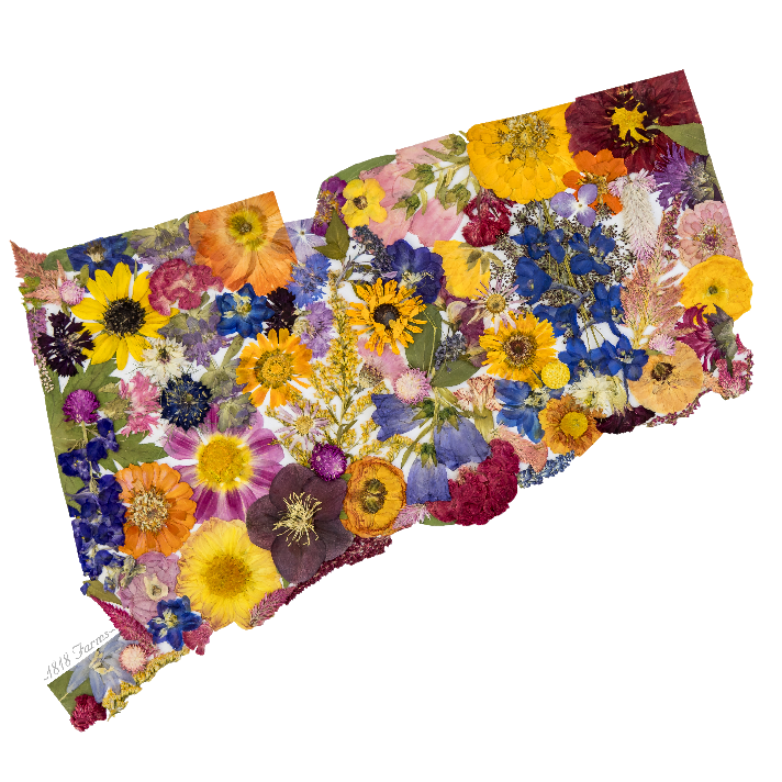 Connecticut Themed Gifts | Where I Bloom | 1818 Farms
