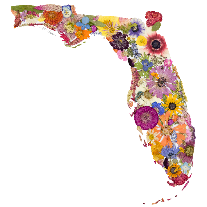 Florida Themed Gifts | Where I Bloom Collection | 1818 Farms
