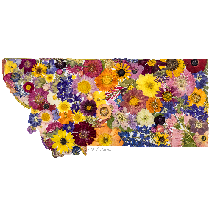 Montana Themed Products From The "Where I Bloom" Collection – 1818 Farms