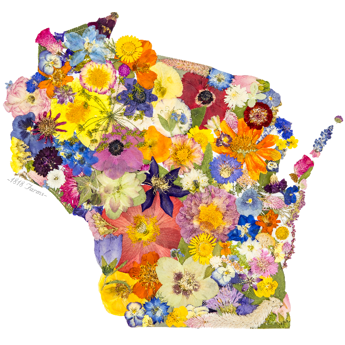 Wisconsin Themed Products From The "Where I Bloom" Collection – 1818 Farms
