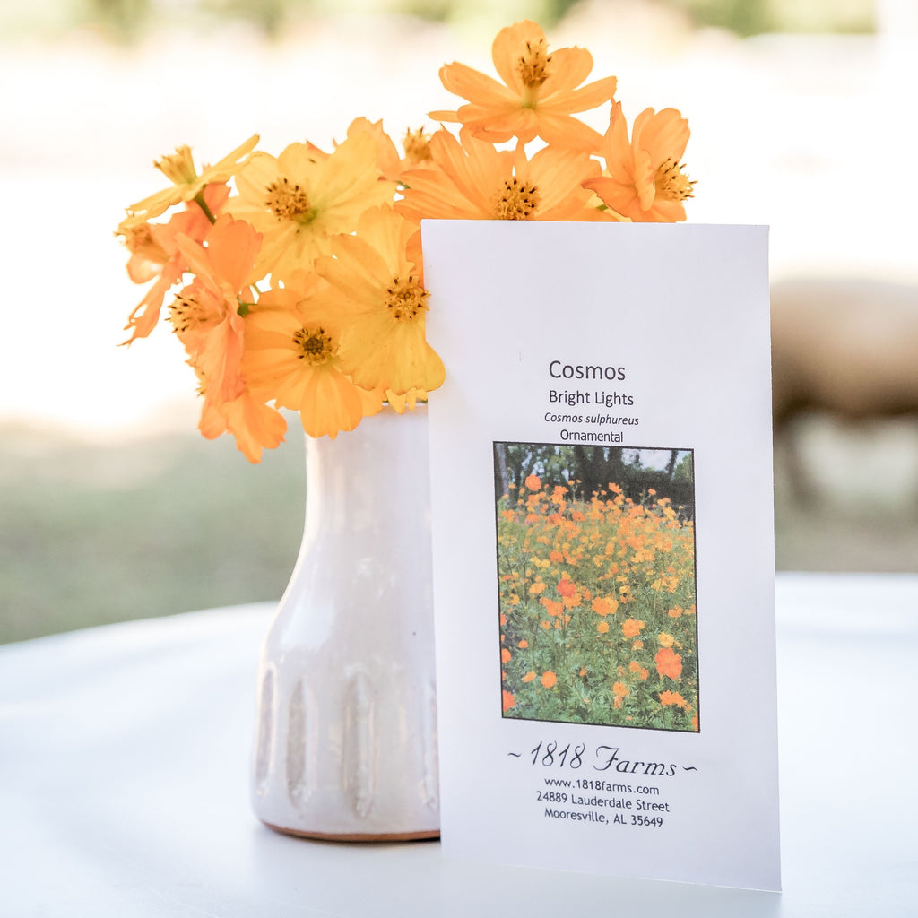 Farm Themed Combs For Men